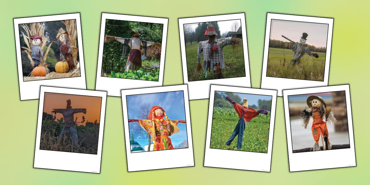 * NEW * Scarecrow Instant Photo Style Display Images