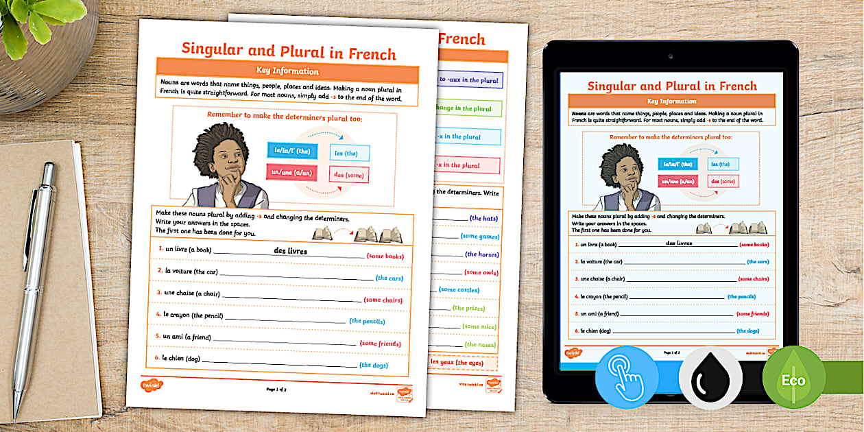 Singular and Plural Worksheet in French