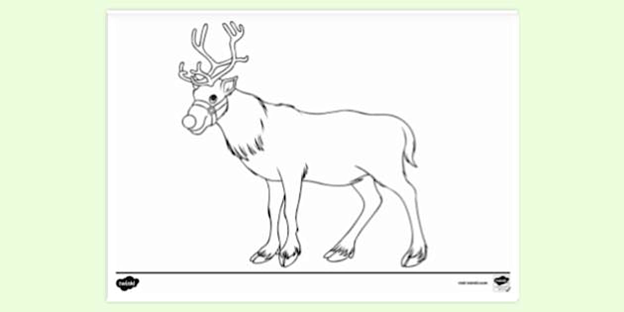 Reindeer Colouring-In | Colouring Sheets | Twinkl - Twinkl