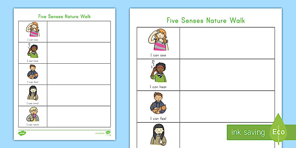 Editable Five Senses Nature Walk (teacher made) - Twinkl