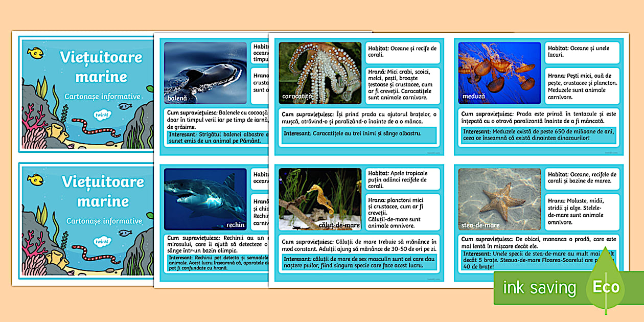 Viețuitoare marine Cartonașe informative (teacher made)