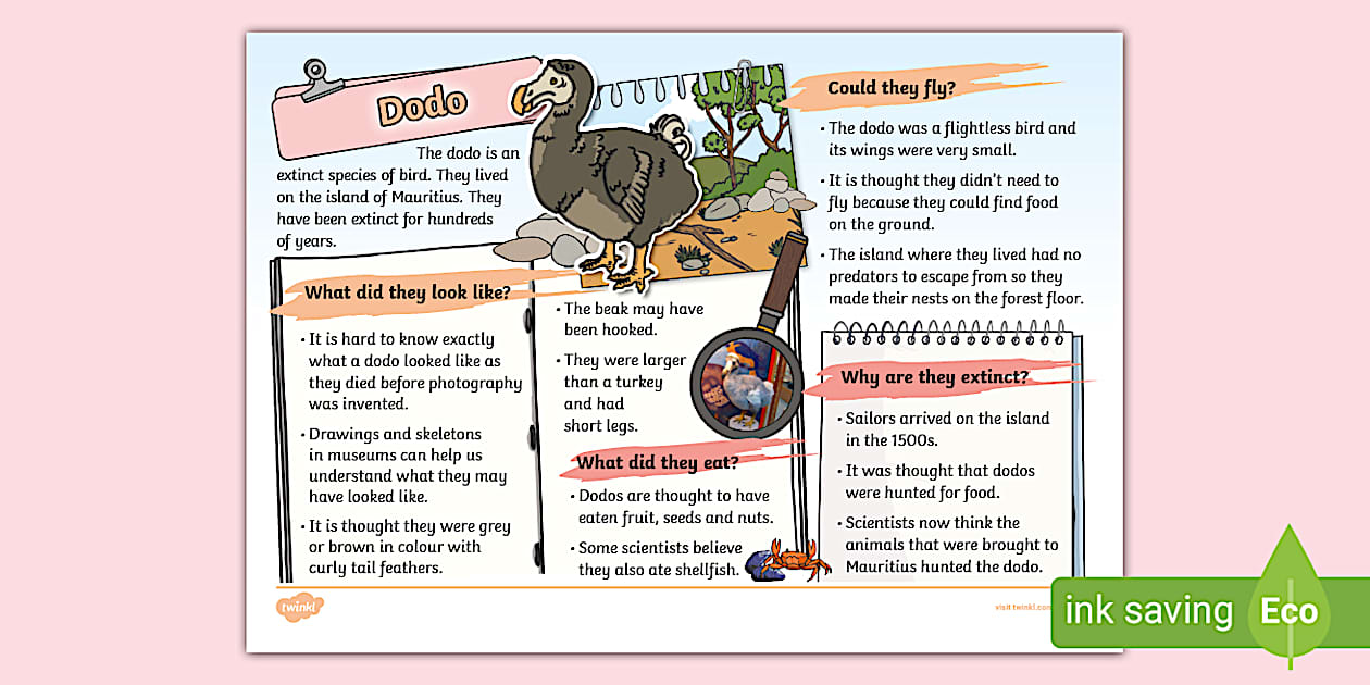 KS1 Dodo Fact File - Extinct Animals (teacher made) - Twinkl