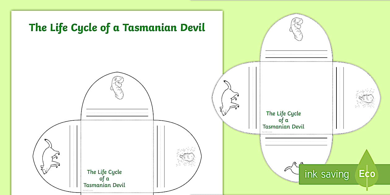 SA Tasmanian Devil Life Cycle Interactive Visual Aid
