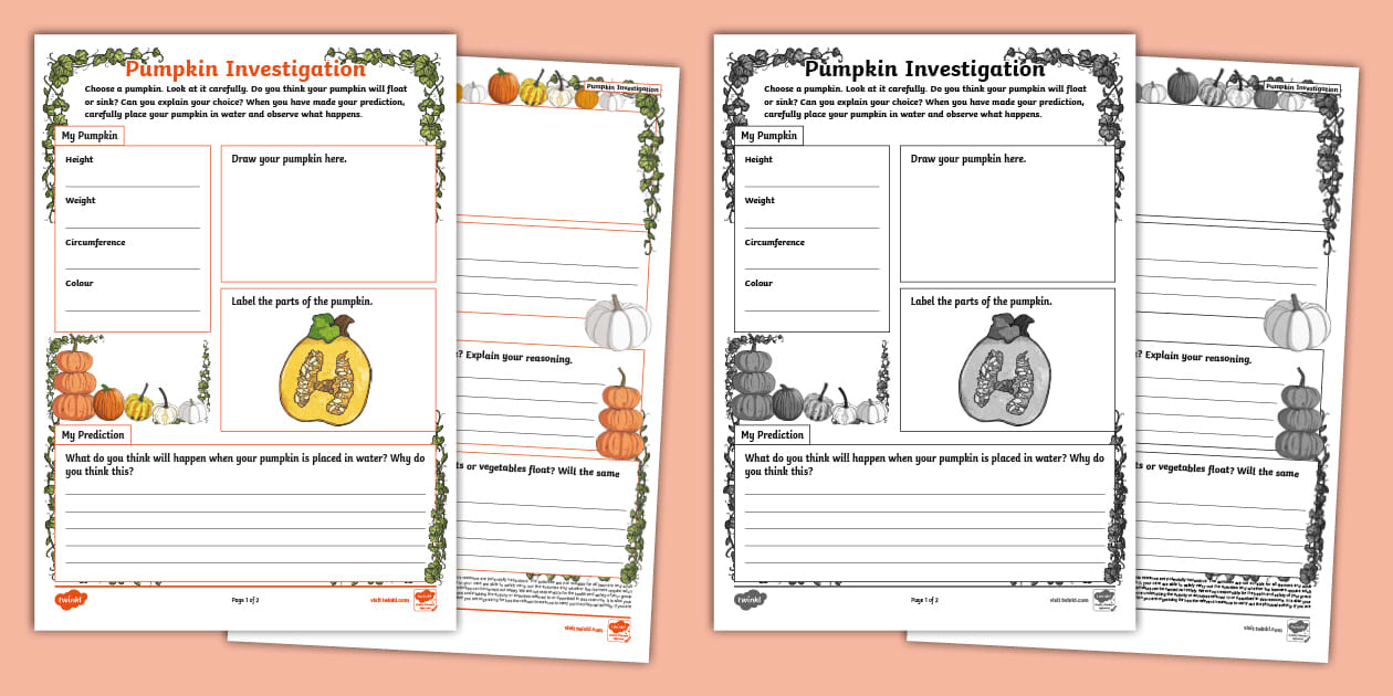 Pumpkin Investigation Worksheet (Hecho por educadores)