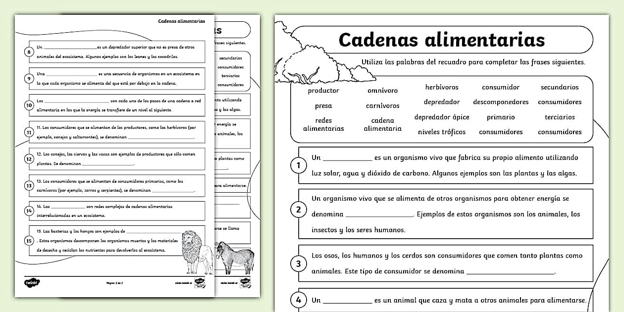 Hoja de actividad: las cadenas alimentarias - Twinkl