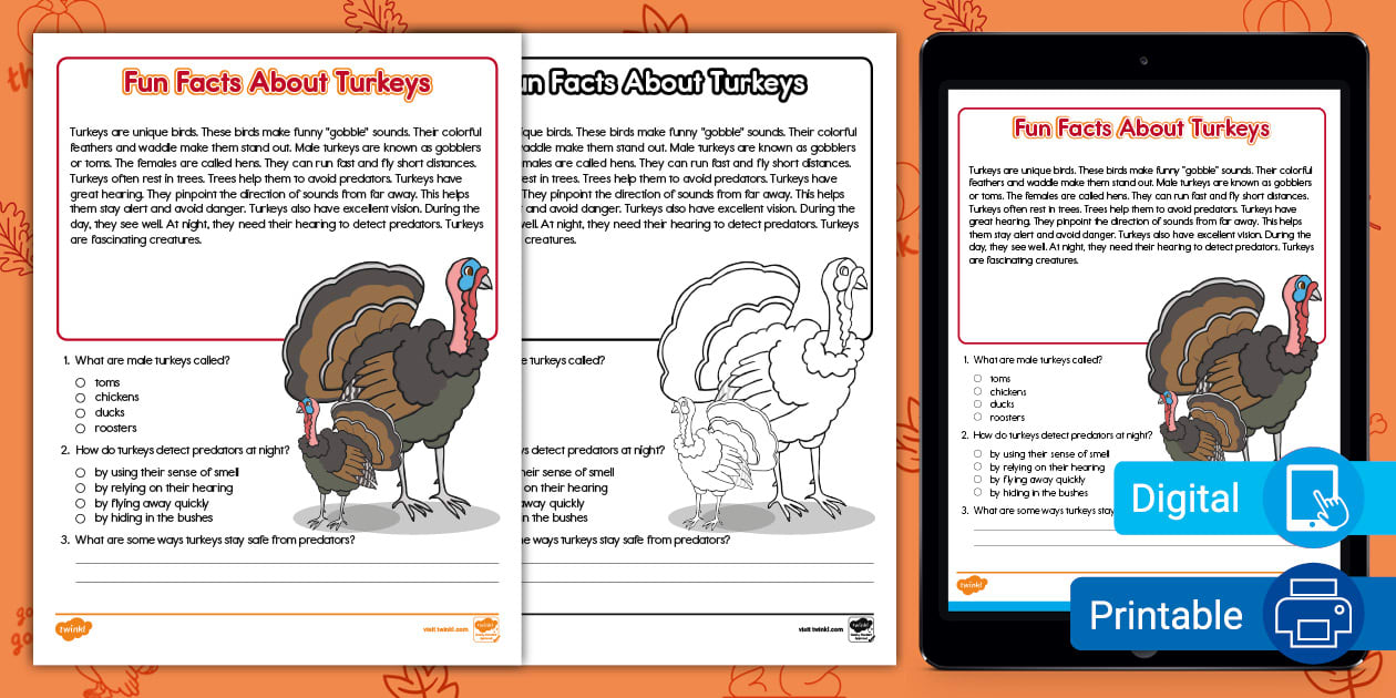 Fun Facts About Thanksgiving Turkey Worksheet | Twinkl USA