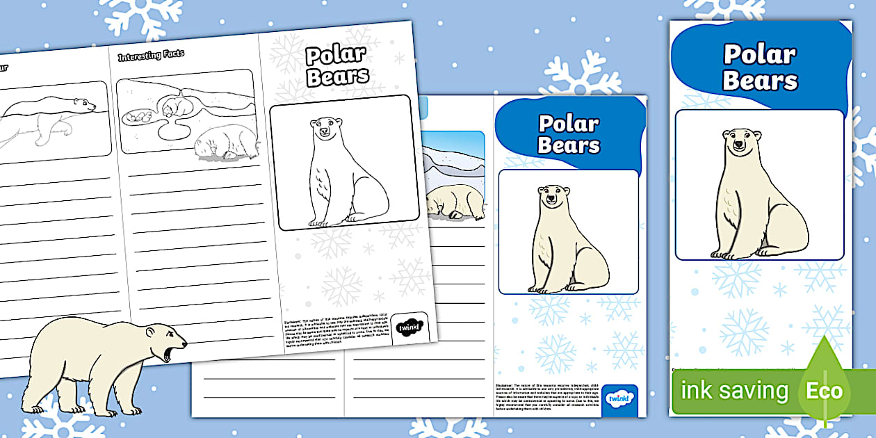 Polar Bears Leaflet Template (teacher made) - Twinkl