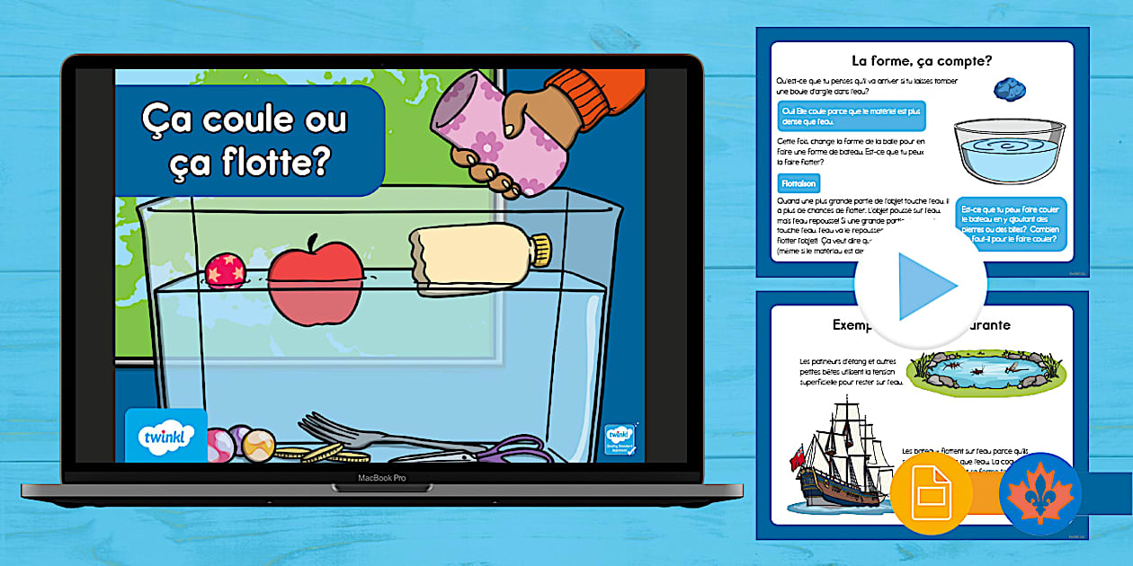 Will It Sink Or Float Presentation-French - Twinkl