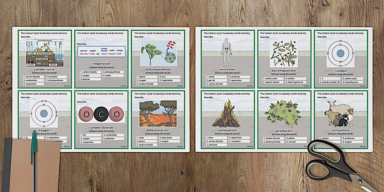The Carbon Cycle Vocabulary Cards Activity (teacher made)