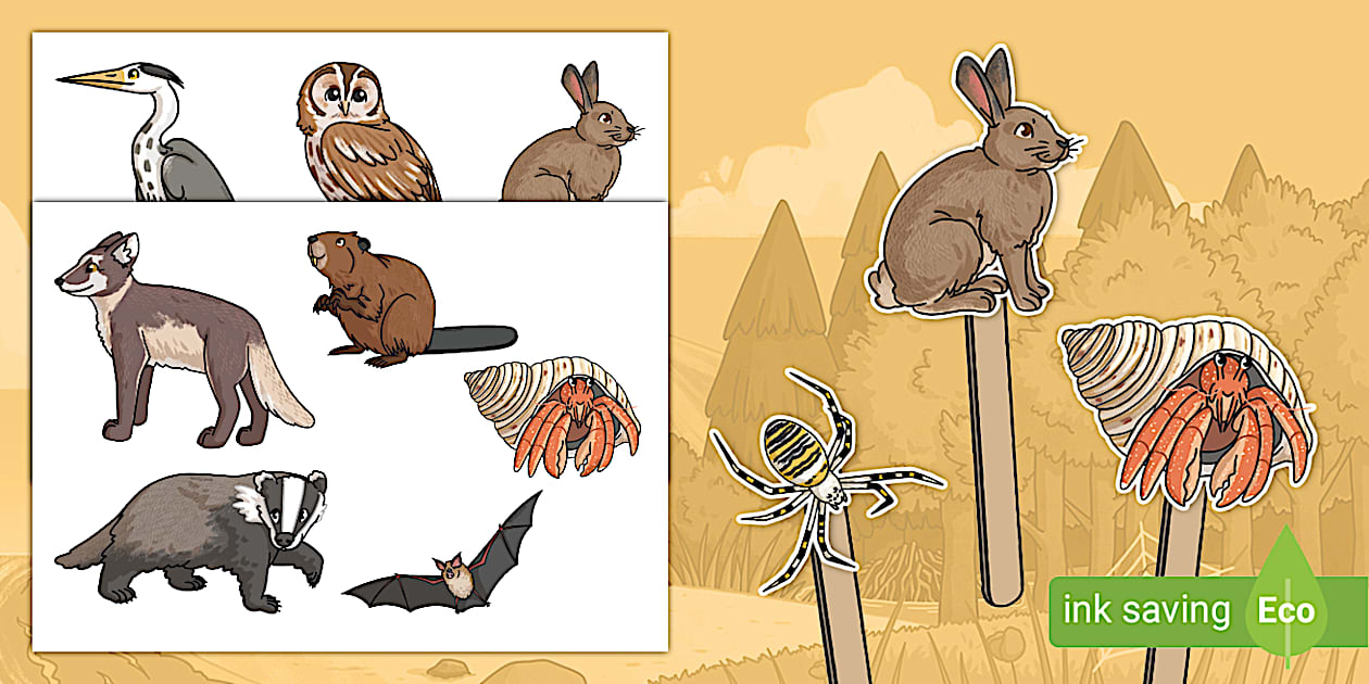 This Is a Home: Animal Stick Puppets (teacher made) - Twinkl