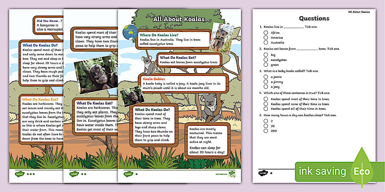 KS1 All About Koalas Differentiated Reading Comprehension Activity