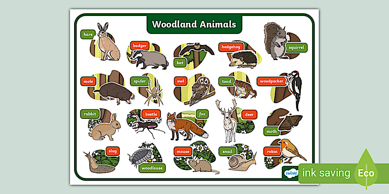 Woodland Animals Word Mat - Twinkl - KS1 - Twinkl