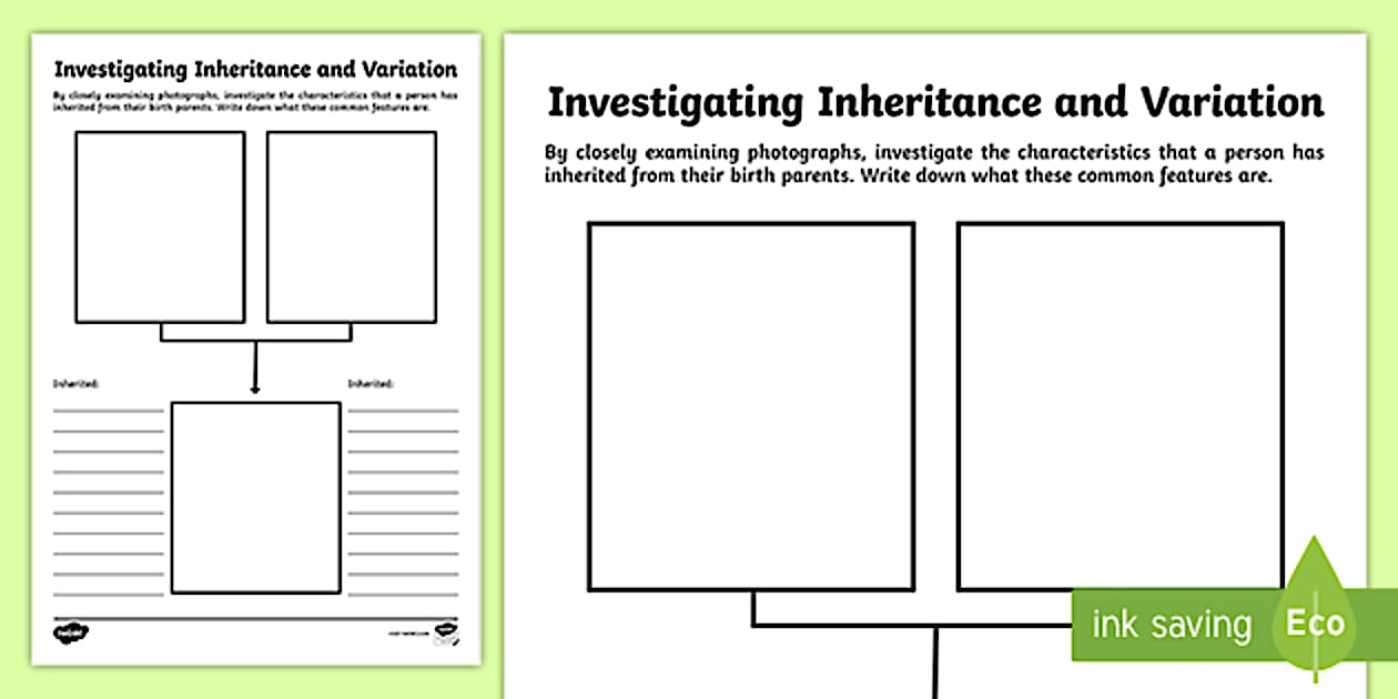 Editable Investigating Inheritance and Variation Worksheet