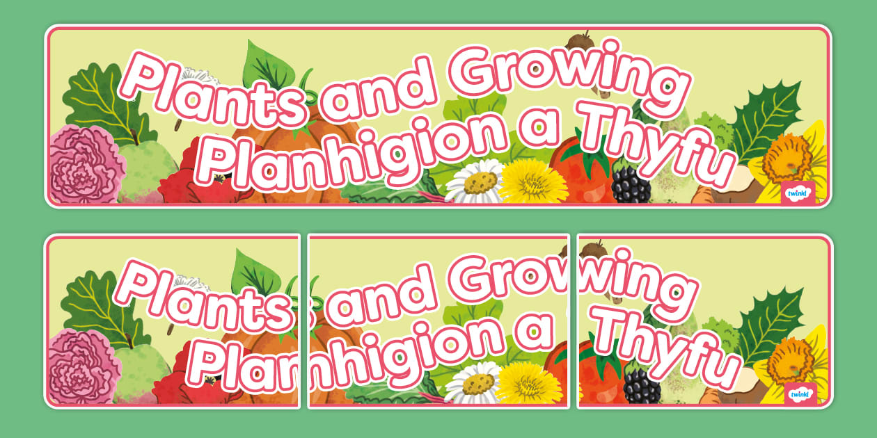 Bilingual English - Welsh Plants and Growing Display Banner