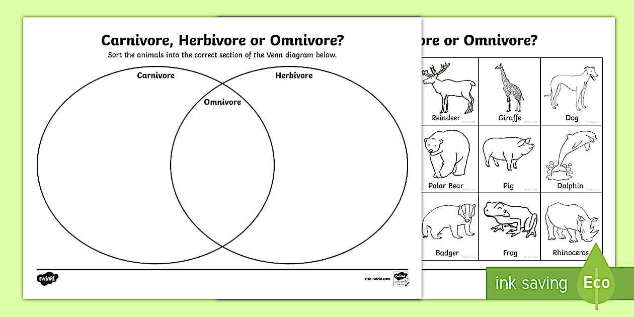 Sorting Carnivores, Herbivores, and Omnivores KS1 Worksheet