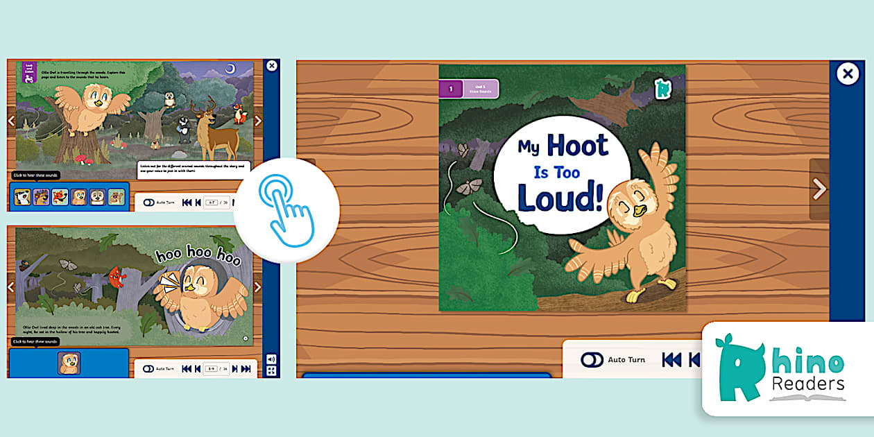 Level 1 Reading Scheme Book: My Hoot Is Too Loud! - Twinkl