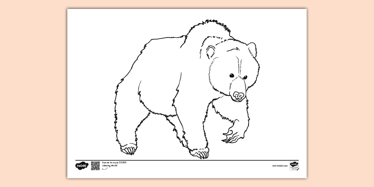 Bear Hunt Colouring | Colouring Sheets - Twinkl