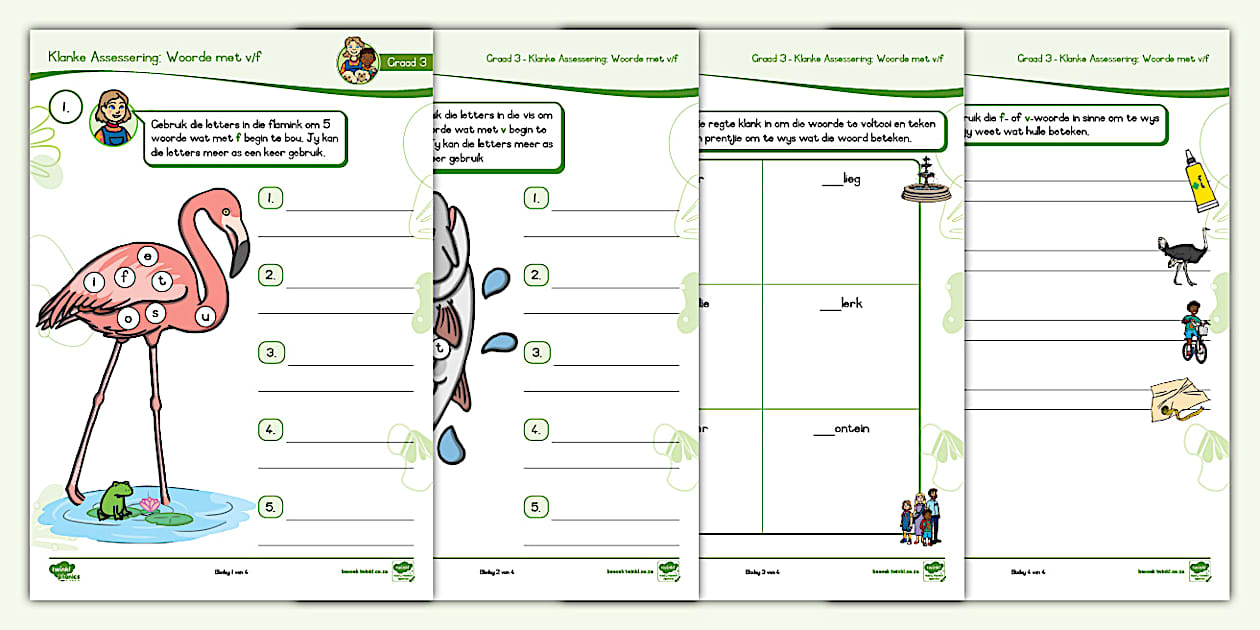 Graad 3 Klanke Assessering: Woorde met v of f - Twinkl