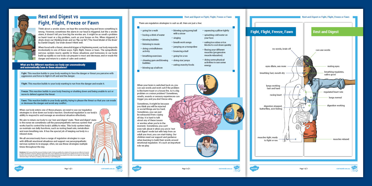 Rest and Digest vs Fight, Flight, Freeze or Fawn - Twinkl