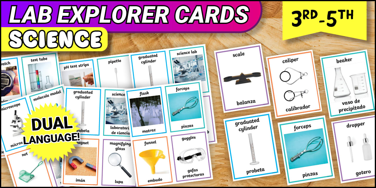 Science Tools in Spanish Picture Flash Cards | Twinkl USA