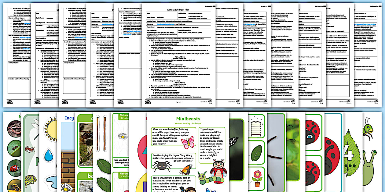 Minibeast Activities For Nursery-Adult Input Planning Pack