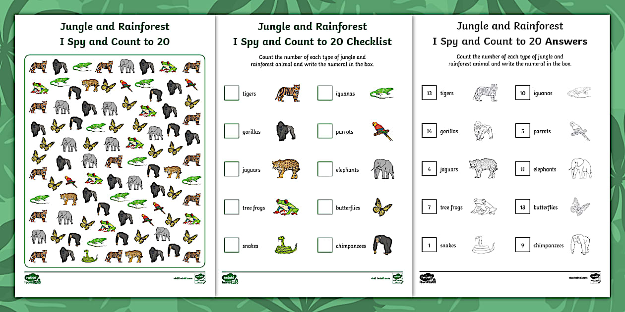 Jungle and Rainforest I Spy and Count Activity to 20
