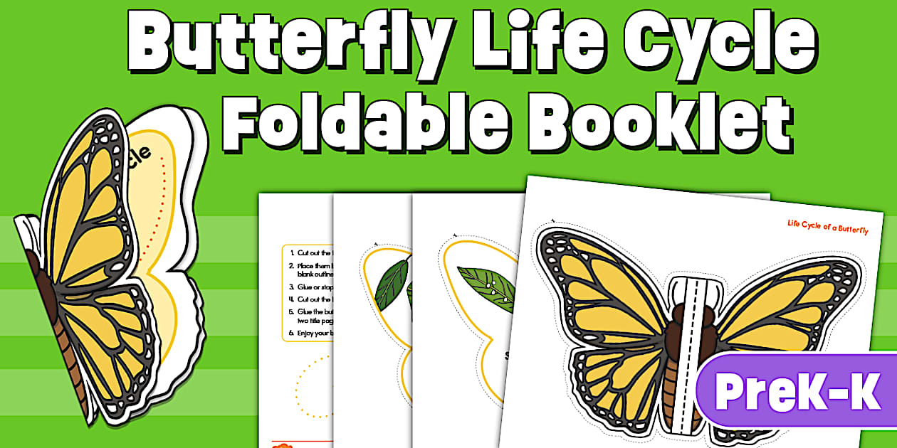Life Cycle of a Butterfly Foldable Booklet for PreK-K