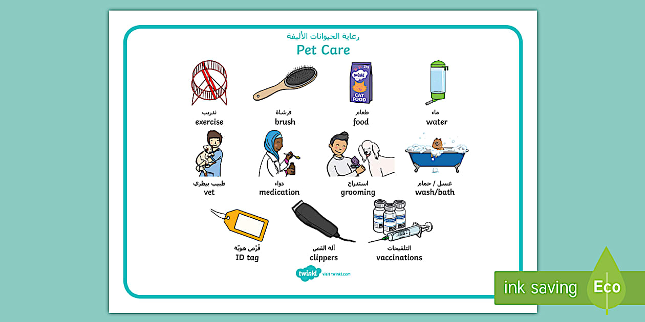 Pet Care Word Mat Arabic/English - domestic animals, Pets Word Mat