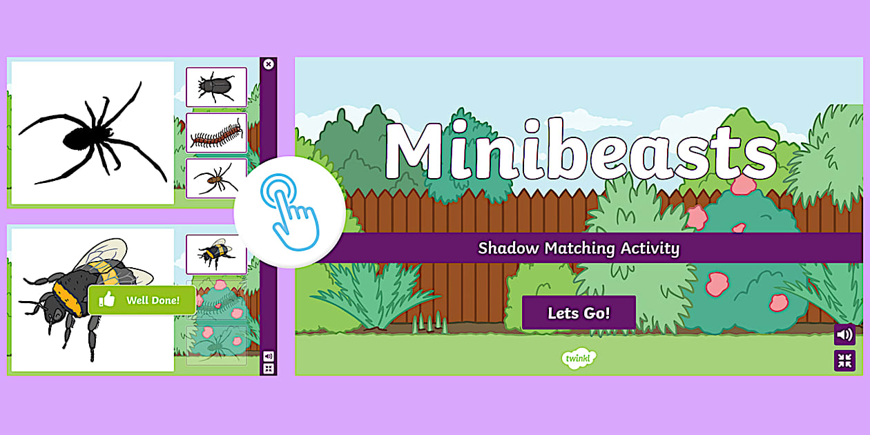 Interactive Minibeasts Shadow Matching Activity | Twinkl Go!