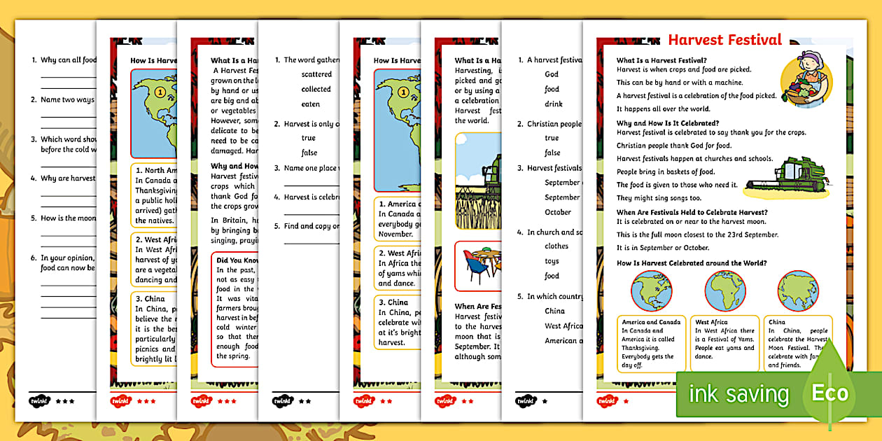 Harvest Festival CfE First Level Differentiated Reading Comprehension