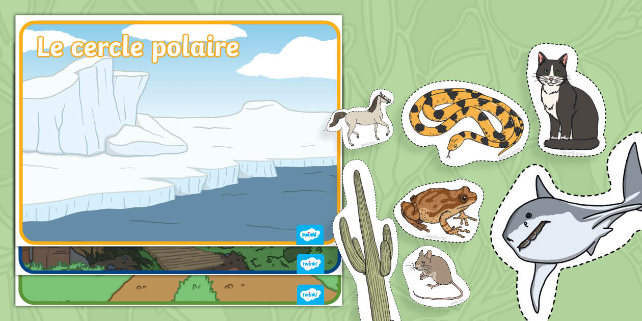 Activité de tri des êtres vivants et de leurs habitats