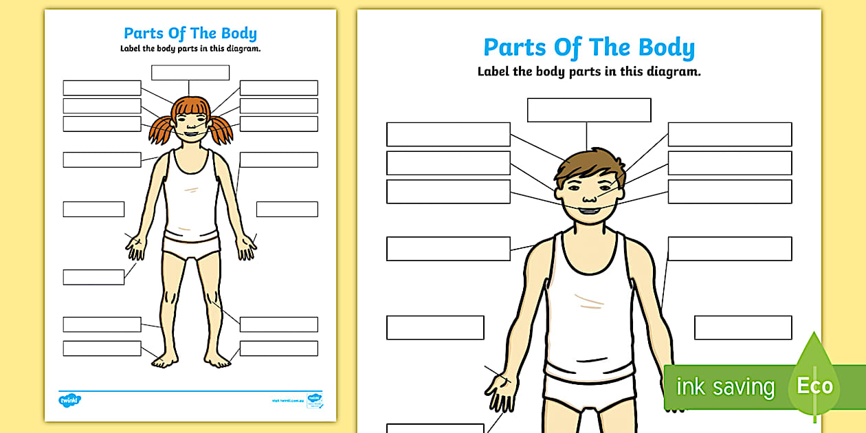 Japanese Parts Of The Body Labelling Worksheet