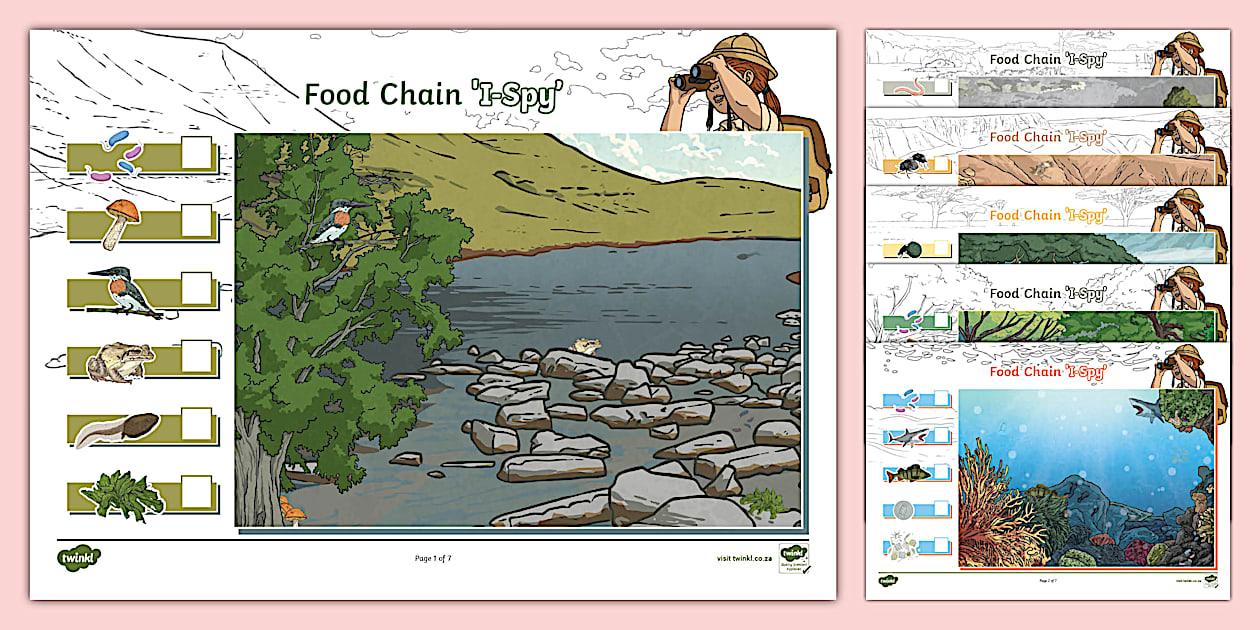 Food Chains 'I-Spy' Worksheets (teacher made) - Twinkl