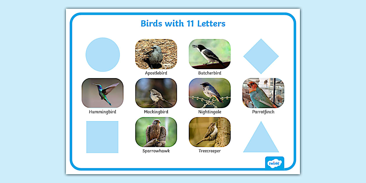 Birds with 11 Letters Word Mat