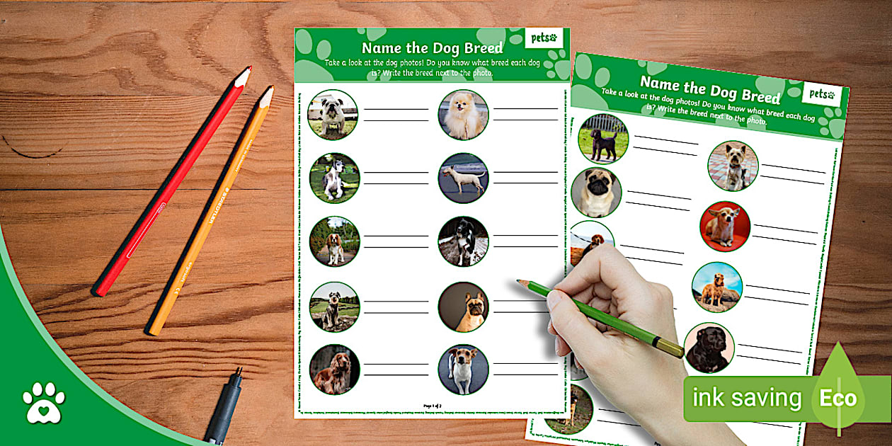 Name the Dog Breed - Activity Sheet - Dog Activity - Pets