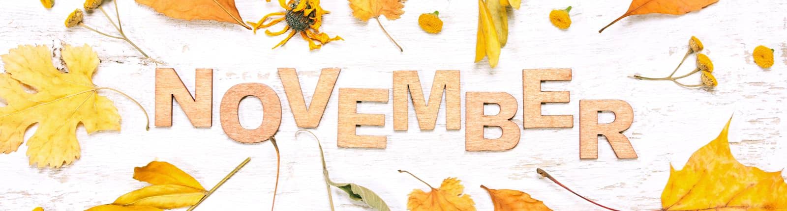SEND news: November 2025 round-up - Twinkl