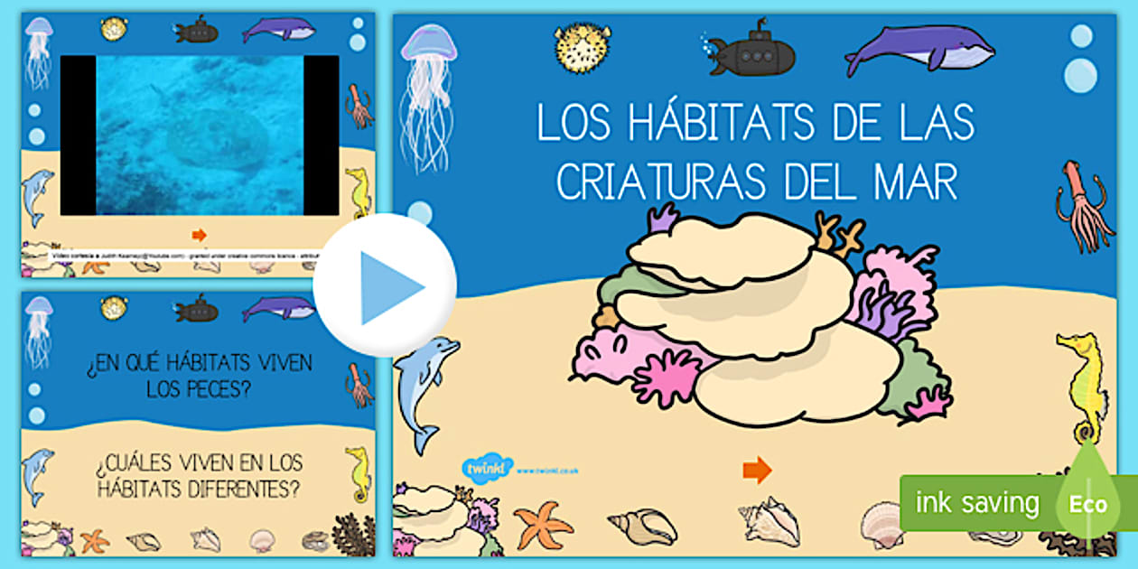 Presentación: Hábitats bajo el mar (teacher made) - Twinkl