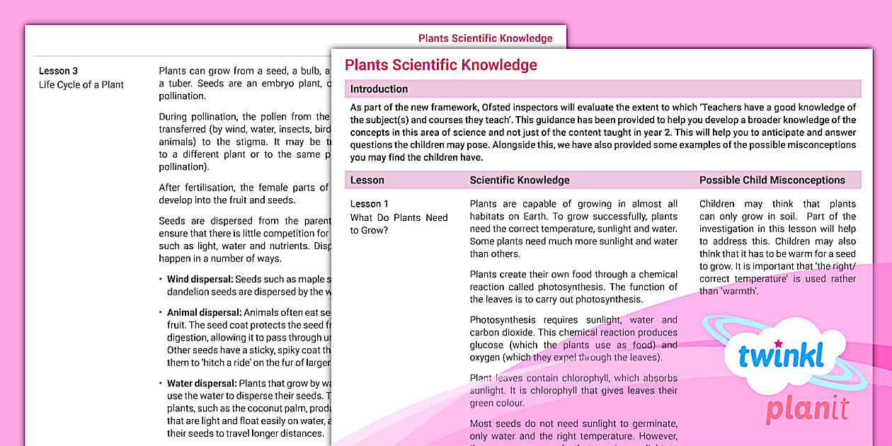 Science CPD: Plants: Year 2 (Hecho por educadores) - Twinkl