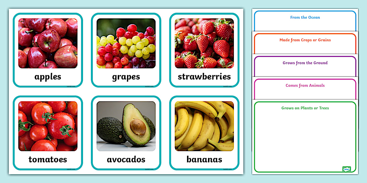 Where Does My Food Come From? Sorting Photo Cards - Twinkl