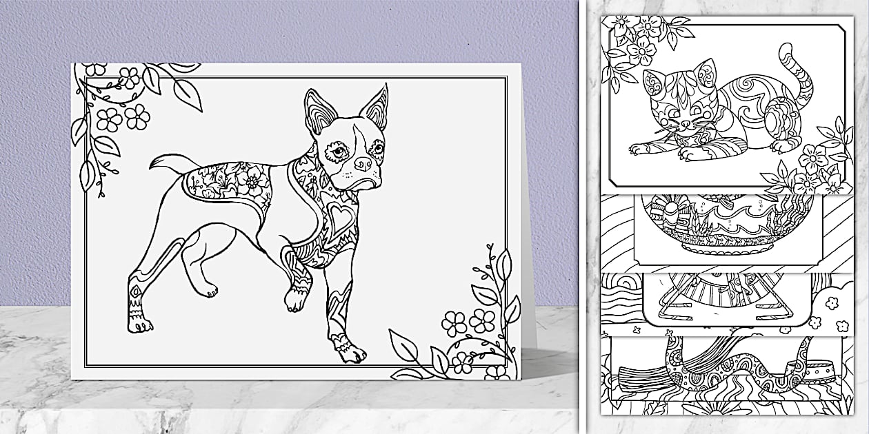 National Pet Month - Pets Cards to Colour | Twinkl Party