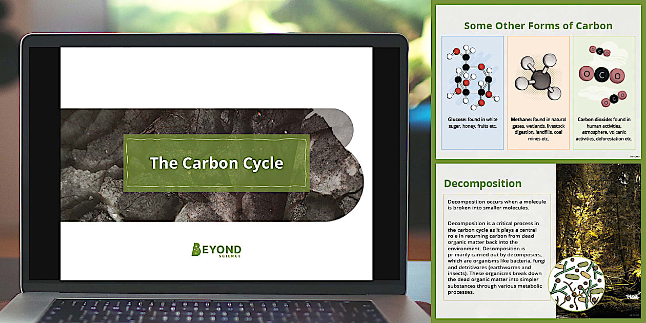 The Carbon Cycle Presentation (teacher made) - Twinkl