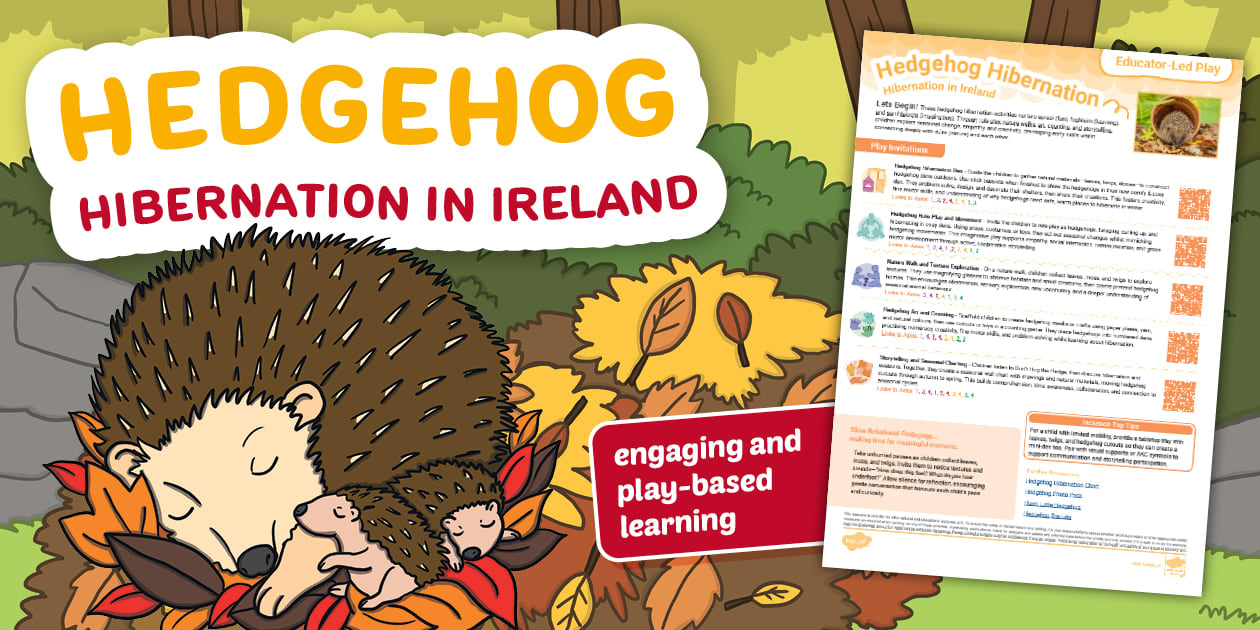 Hedgehog Hibernation Educator-Led Play