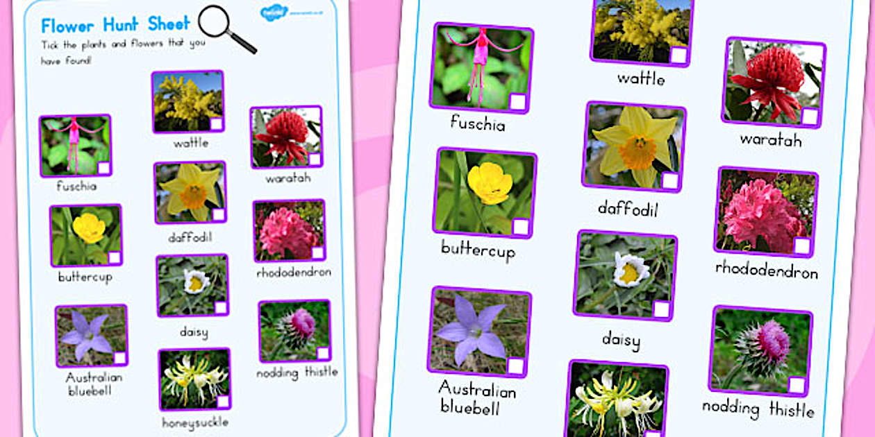 Flowers Hunt Sheet (صُمم من قبل مُختصّين)