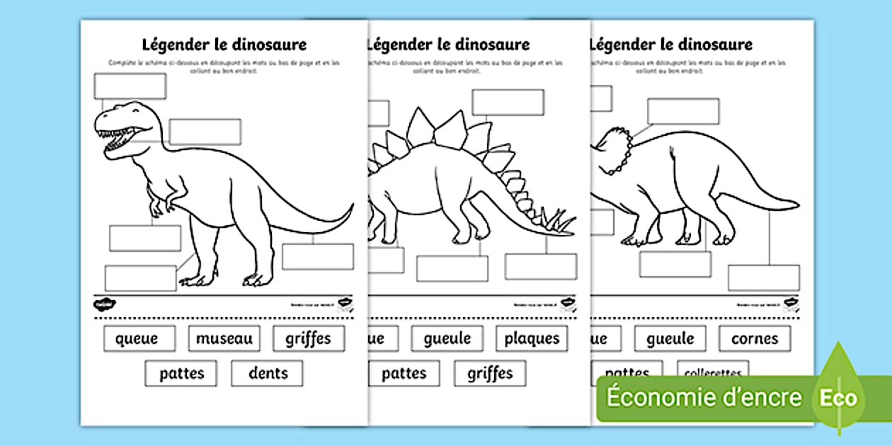 Fiches d'activités : schémas de dinosaures à compléter