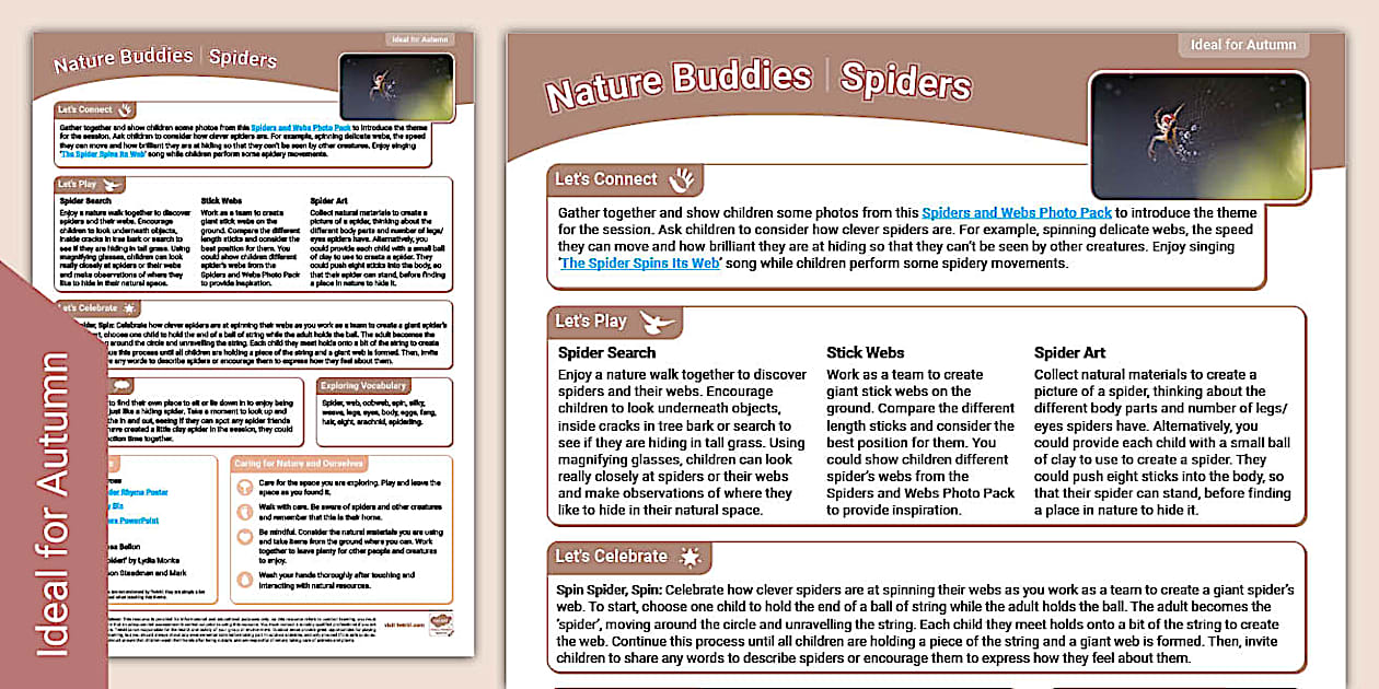 EYFS Nature Buddies Outdoor Learning: Spiders | Nature