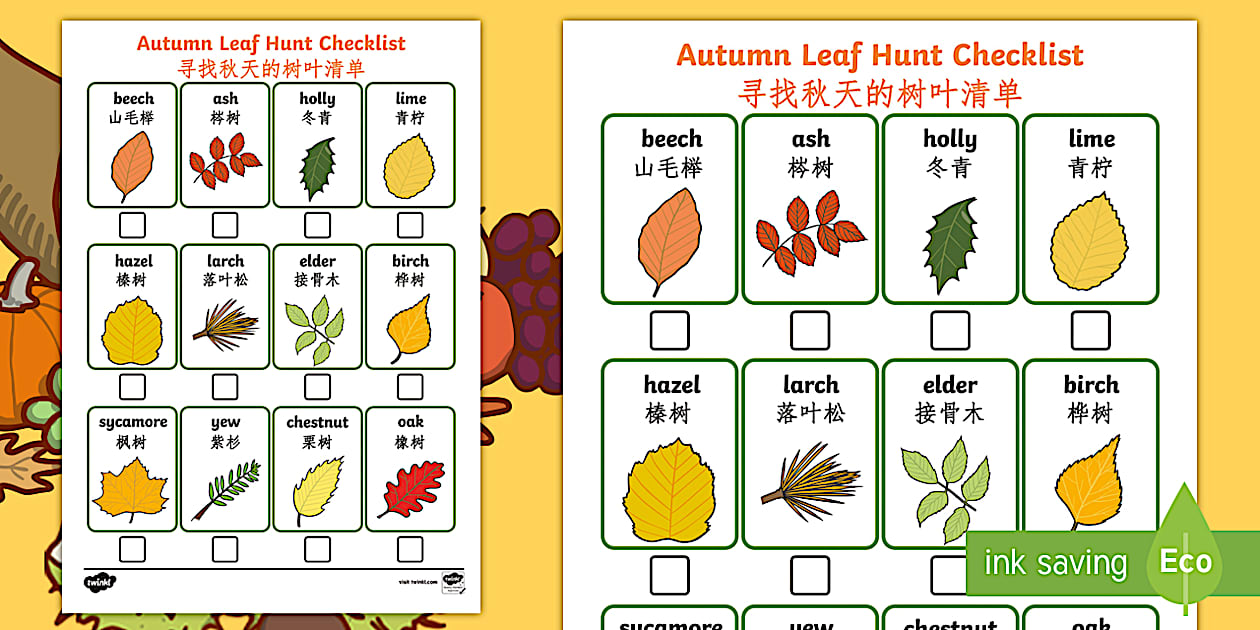 Autumn Leaf Hunt Checklist English/Mandarin Chinese - Twinkl