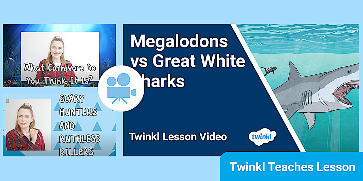 KS2 (Ages 7-11) NewsRoom Video of the Week: Megalodon