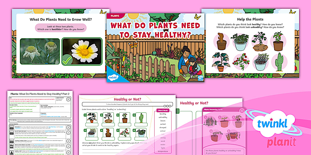 Taking Care Of Plants Lesson Plan | Lesson 5 Yr 2 | Science
