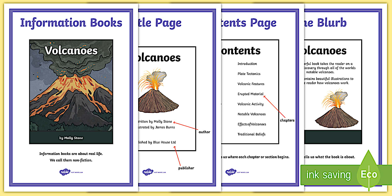 Information Book Display Posters (teacher made) - Twinkl