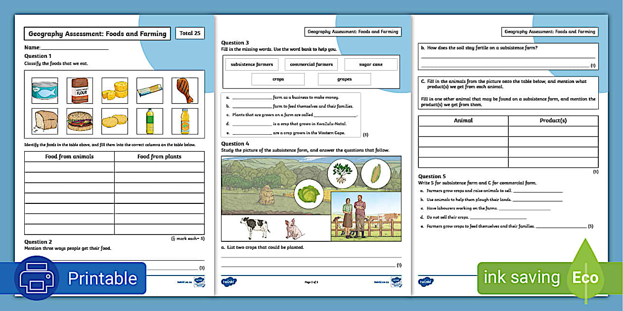 Grade 4 - Geography - Term 3 - Farming: Assessment Part 1(CAPS Aligned)